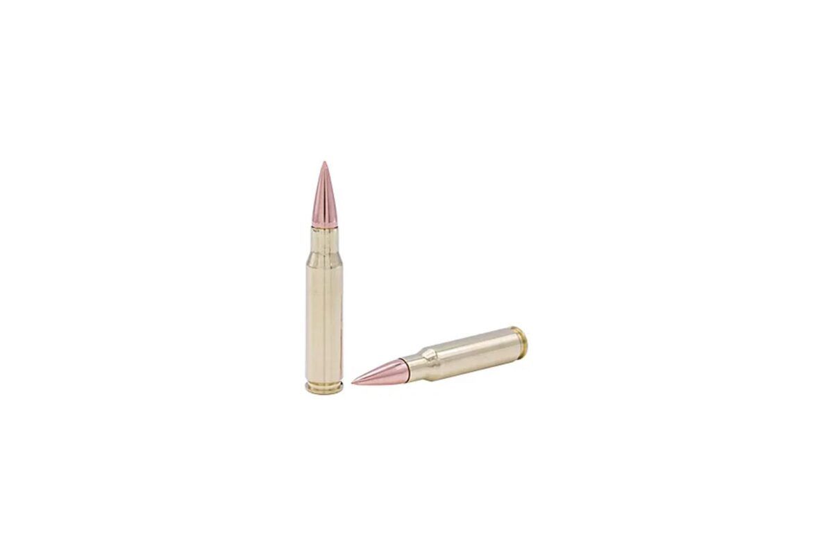 - Fort Scott Munitions 308-168-SCV TUI 308 Win 168 gr Solid Copper Spun ...