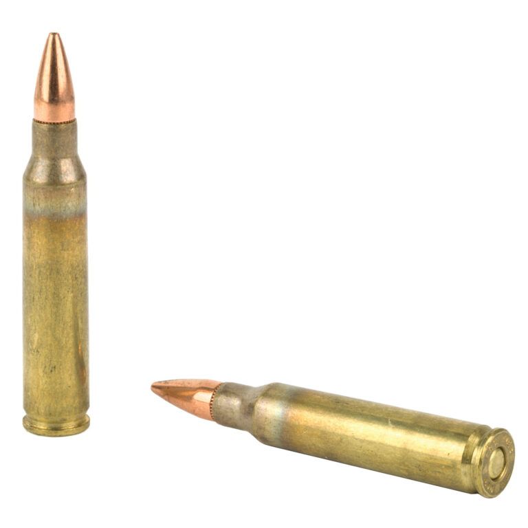 Frontier Cartridge 556 NATO 75 Grain Boat Tail Hollow Point Match Lake ...