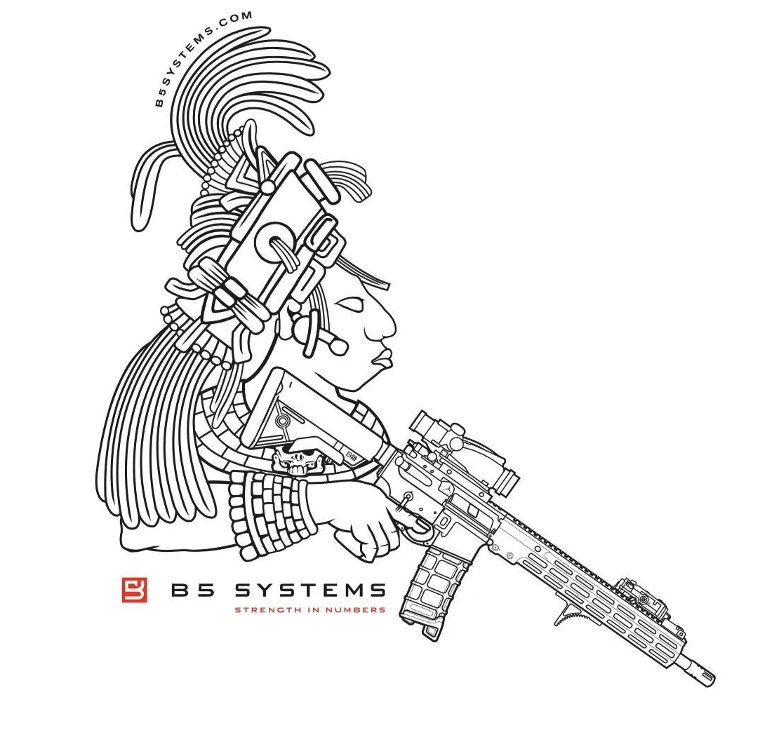 The Ultimate Guide to the B5 Systems AR-15 Enhanced SOPMOD Lower Build ...